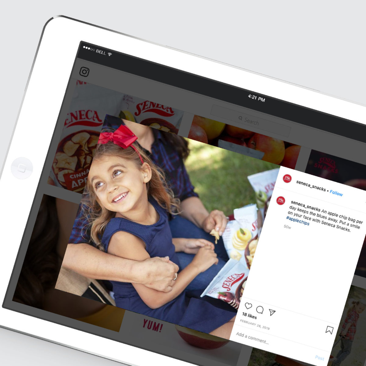 Our Marketing For Seneca Case Study | Marketing Initiative Worx